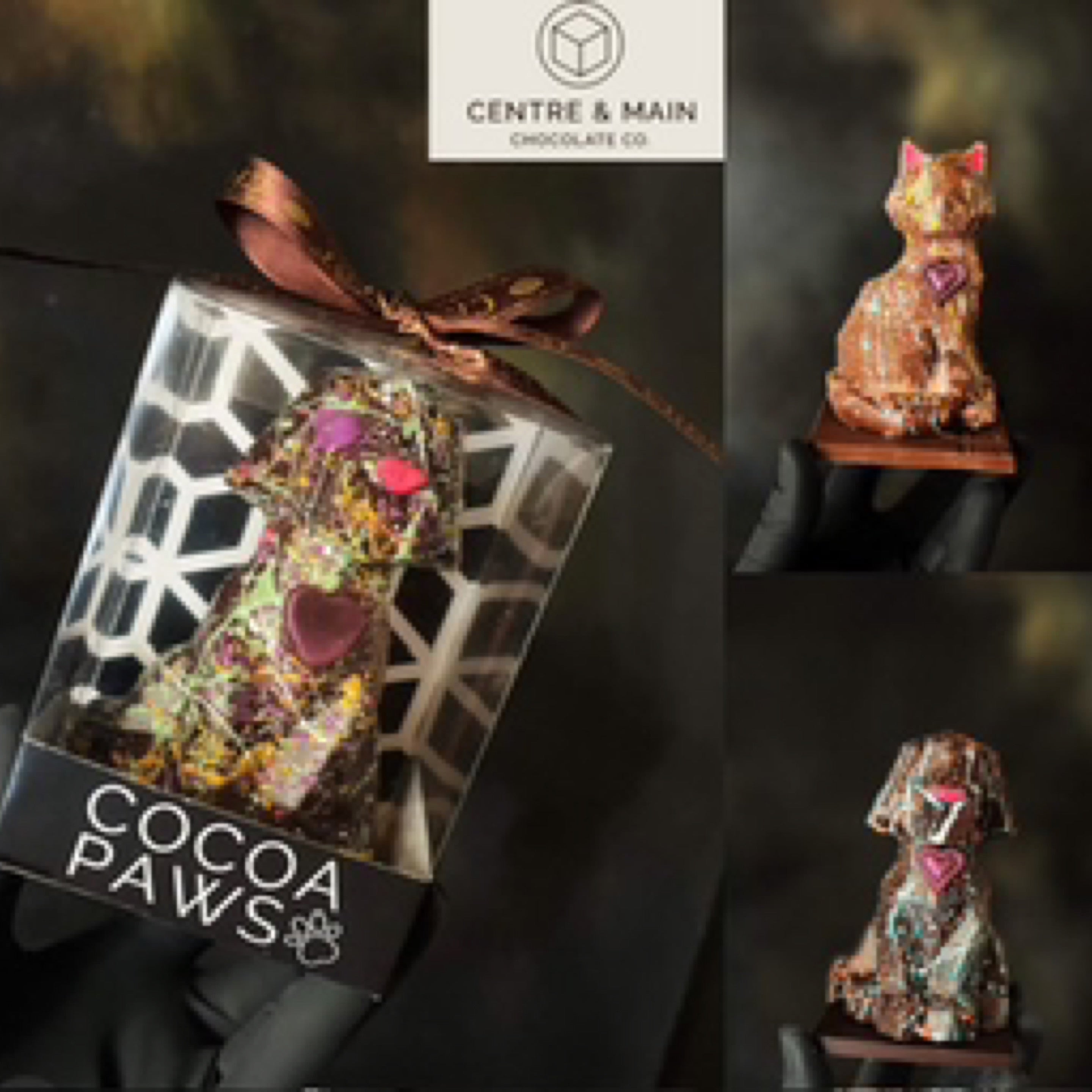 Centre & Main Chocolate - Cocoa Paws (10% Donated To Animal Rescue ...
